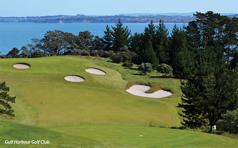 Golf's Summer Visitors - NZ Golf Magazine